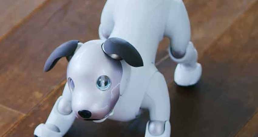 Aibo, el nuevo perrito robot que conquista corazones | Diario El Independiente