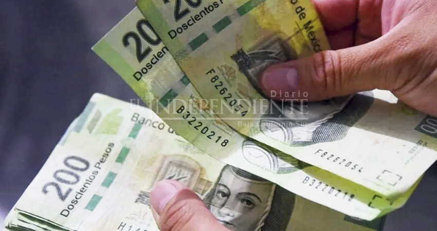 En Bcs Se Ganan Hasta 30 Mil Pesos Al Mes Zavala Agundez Diario El